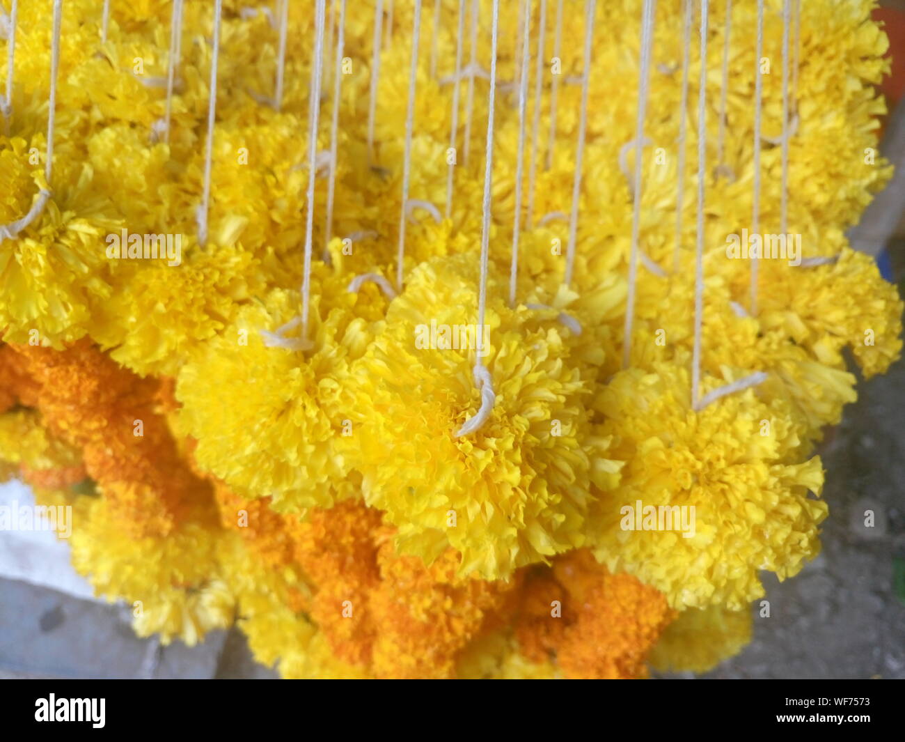 Marigold garlands hi-res stock photography and images - Alamy