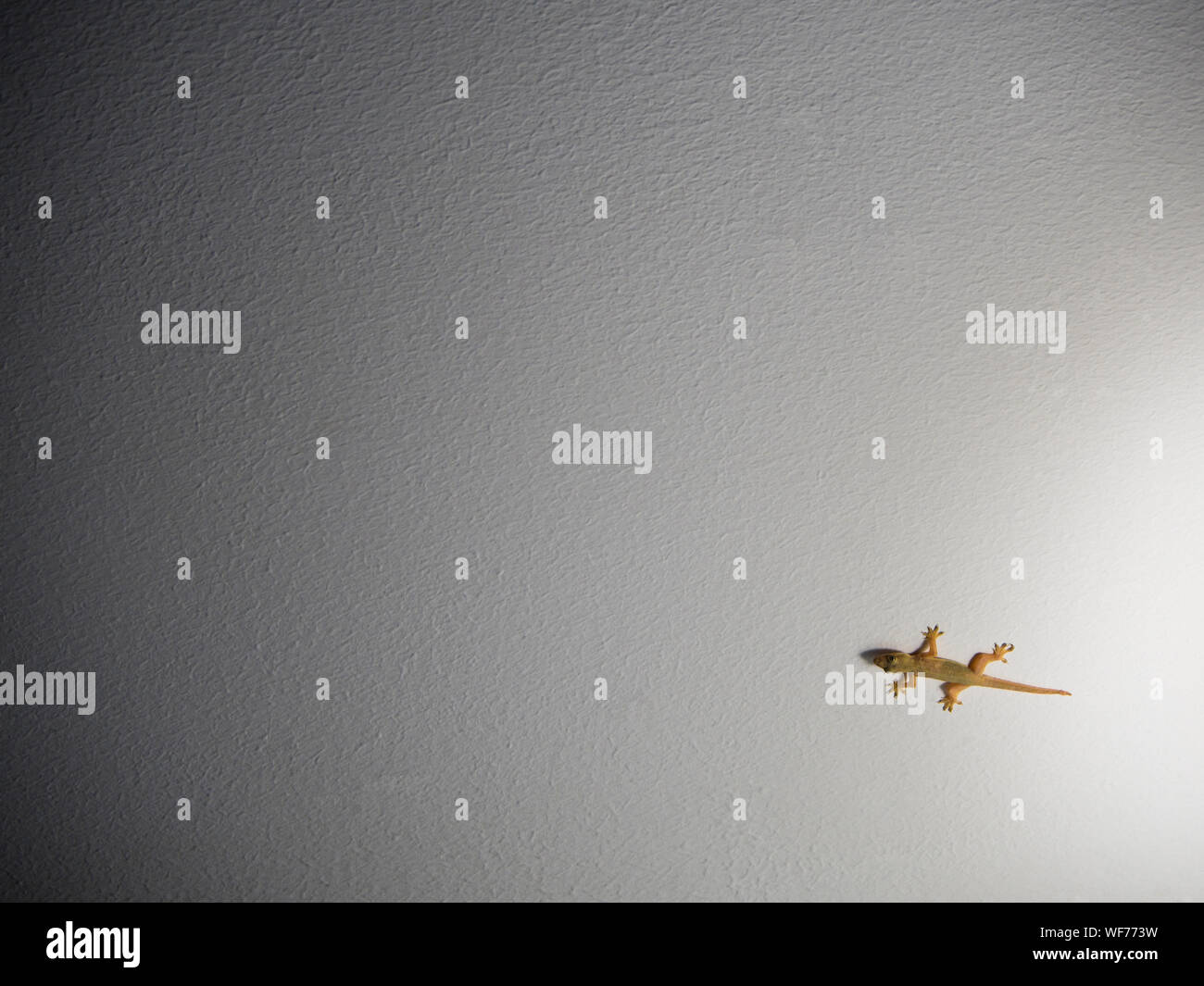 The lizard light house hi-res stock photography and images - Alamy