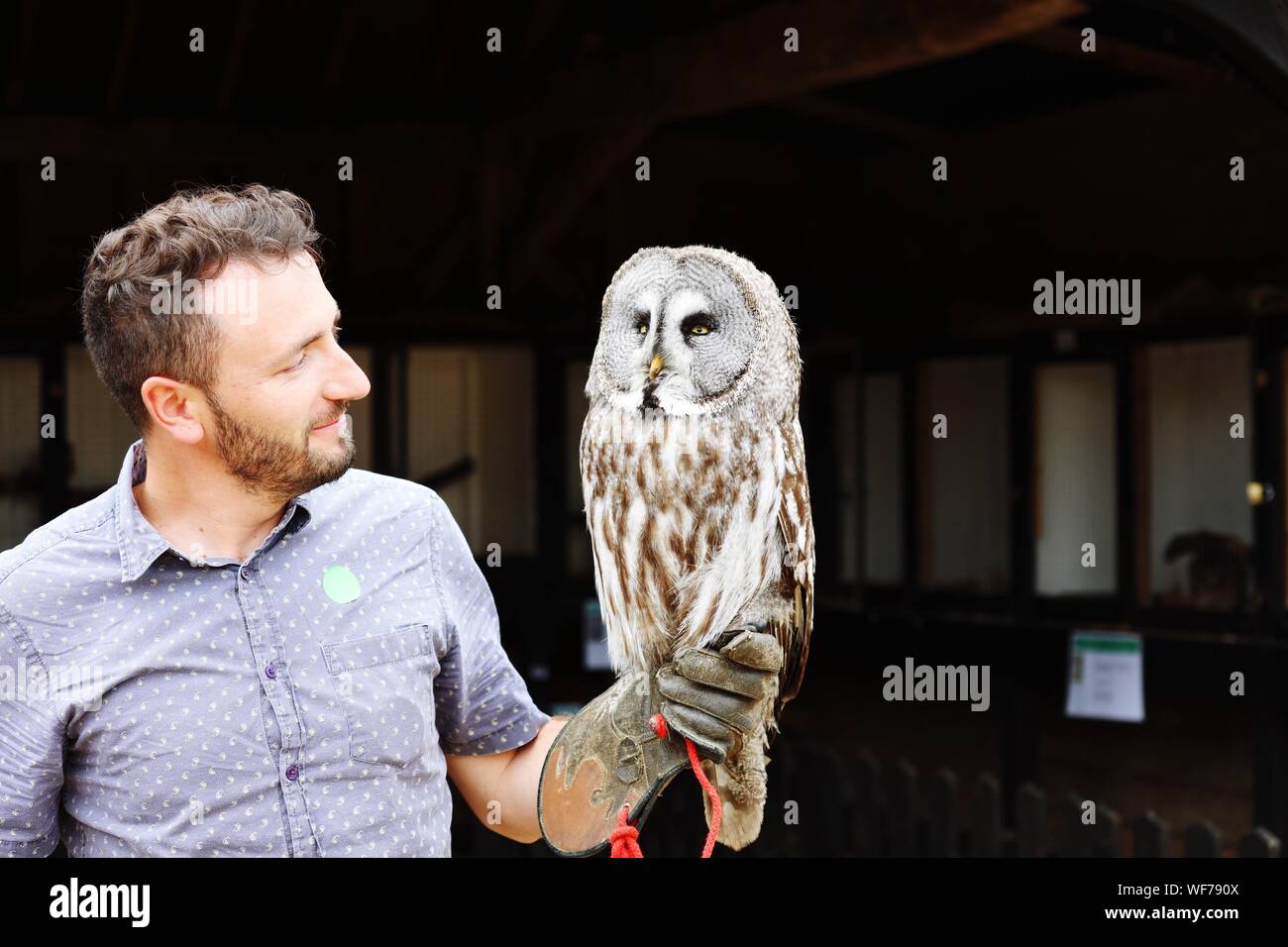 Handsome animals hi-res stock photography and images - Alamy