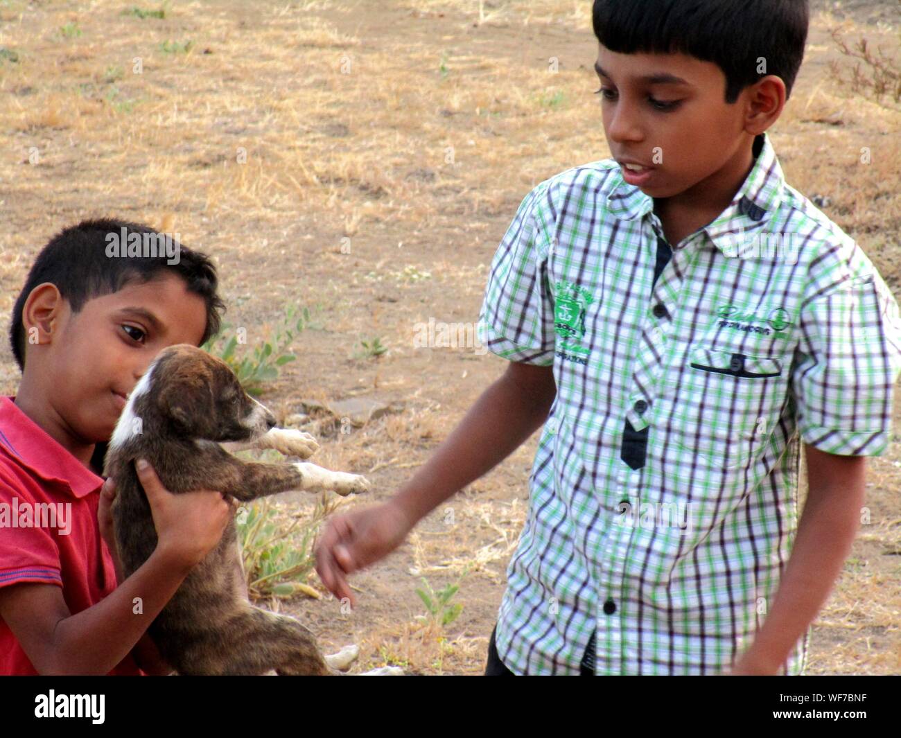 Two boys with dog hi-res stock photography and images - Alamy