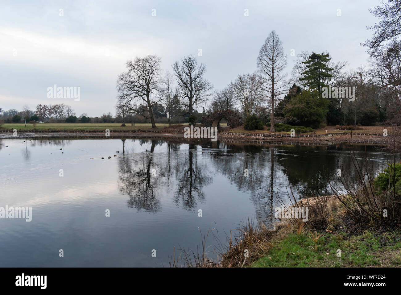 The Gary Bridge ( Graue Brucke) of Worlitzer Park, Germany Stock Photo ...