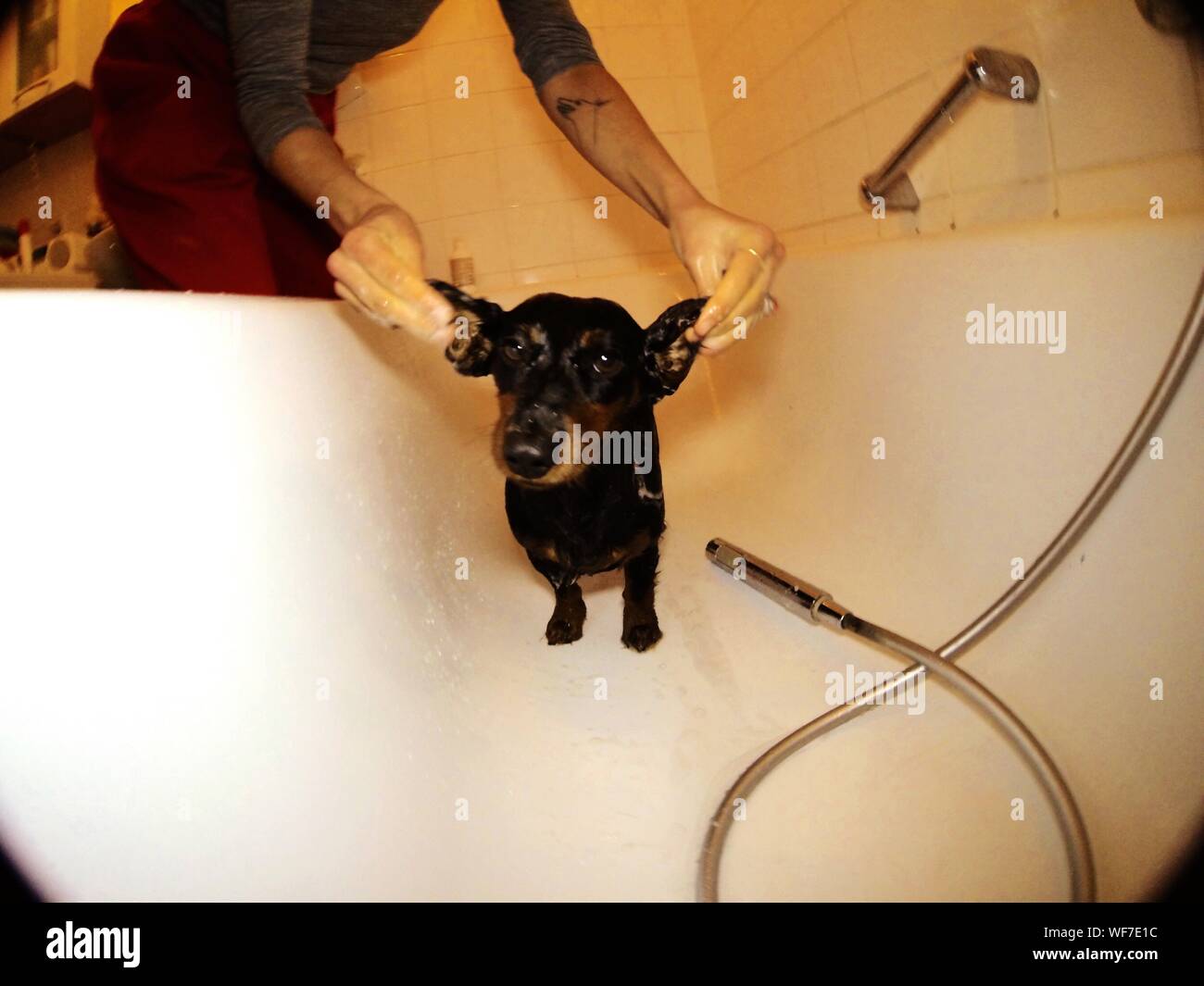 Man bathroom washing hi-res stock photography and images - Alamy