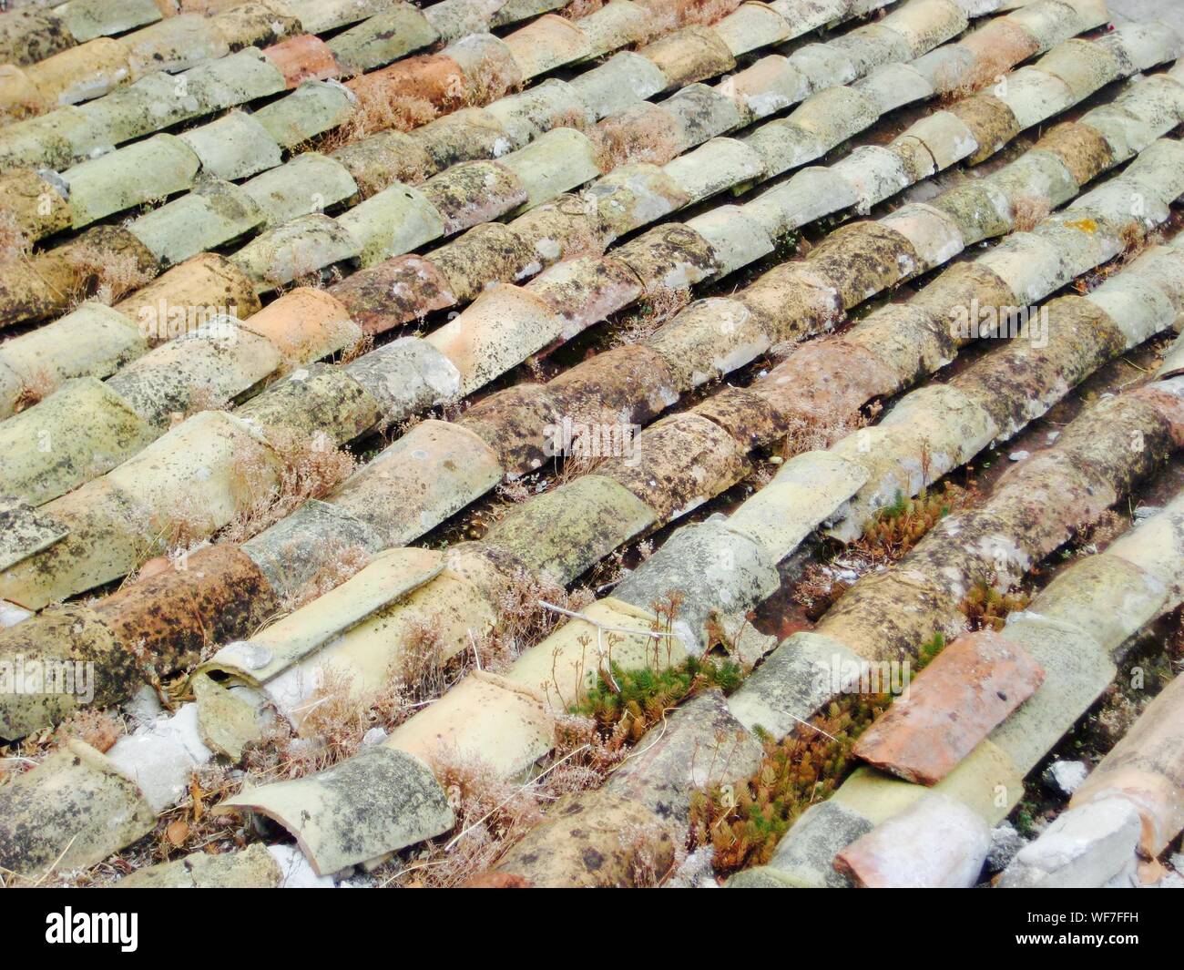 Broken Roof Tile High Resolution Stock Photography and Images - Alamy