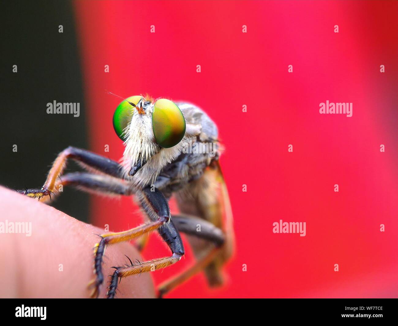 Full human body hi-res stock photography and images - Alamy