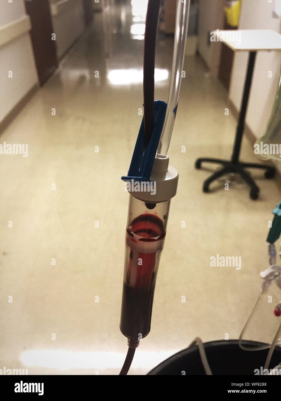 Intravenous blood drip hi-res stock photography and images - Alamy