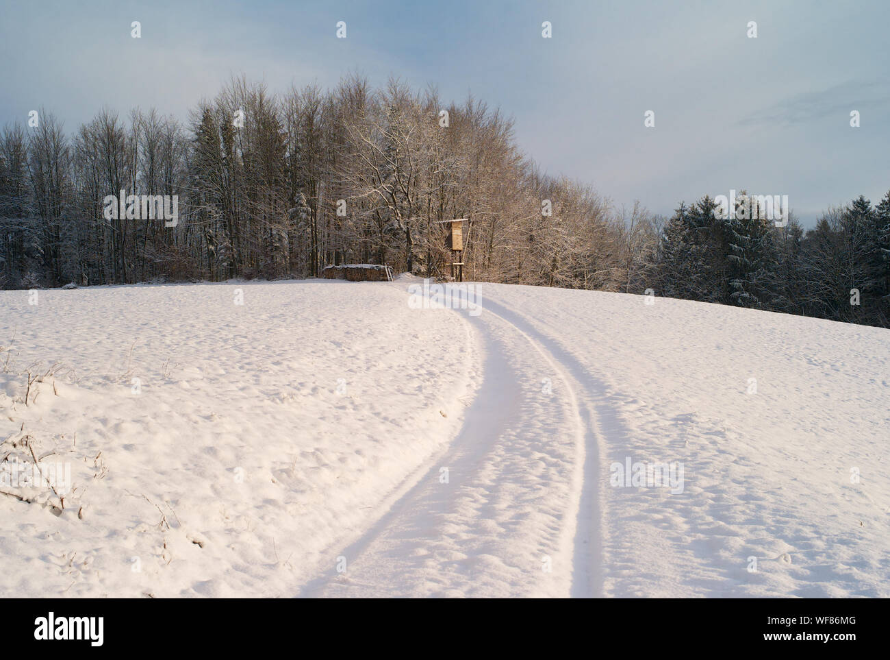 Snow winter path trees hi-res stock photography and images - Alamy