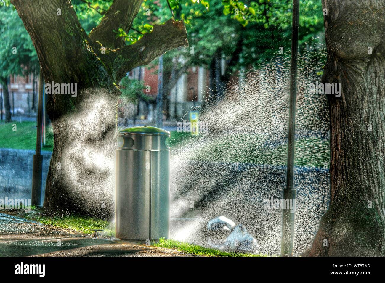 Spraying trees hi-res stock photography and images - Alamy