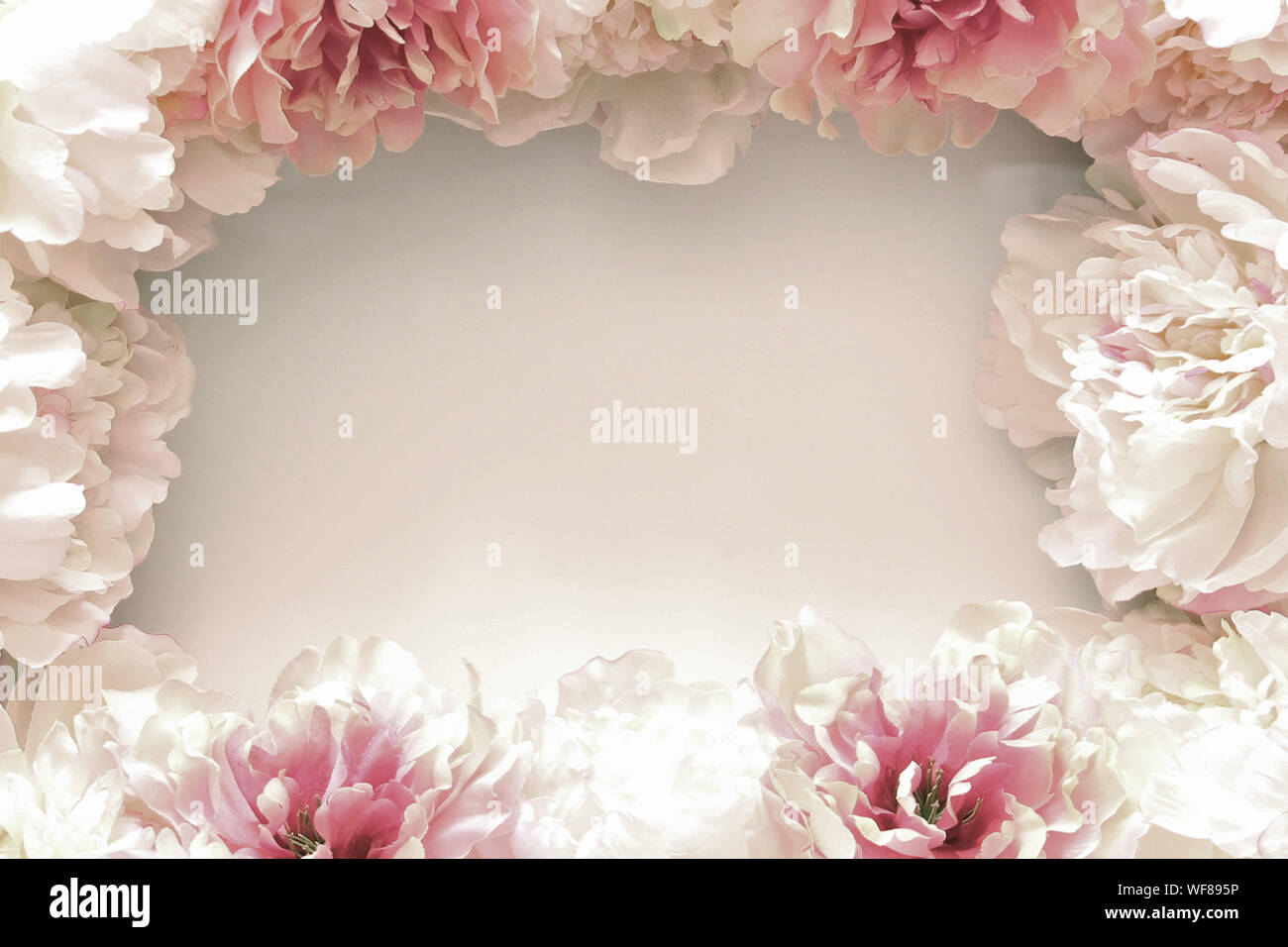 Peonies Frame High Resolution Stock Photography and Images - Alamy