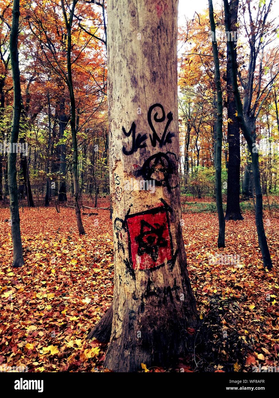 Graffiti tree hi-res stock photography and images - Alamy