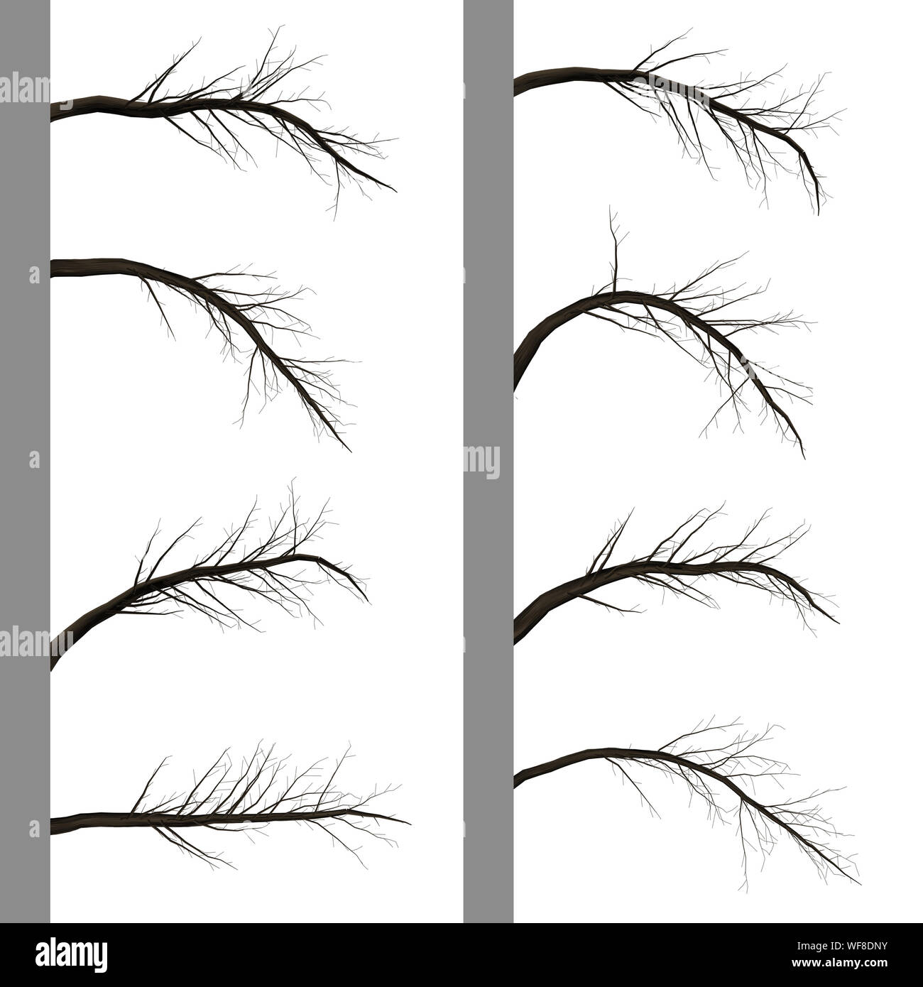 Tree branch background. 3D Illustration. White background isolate ...