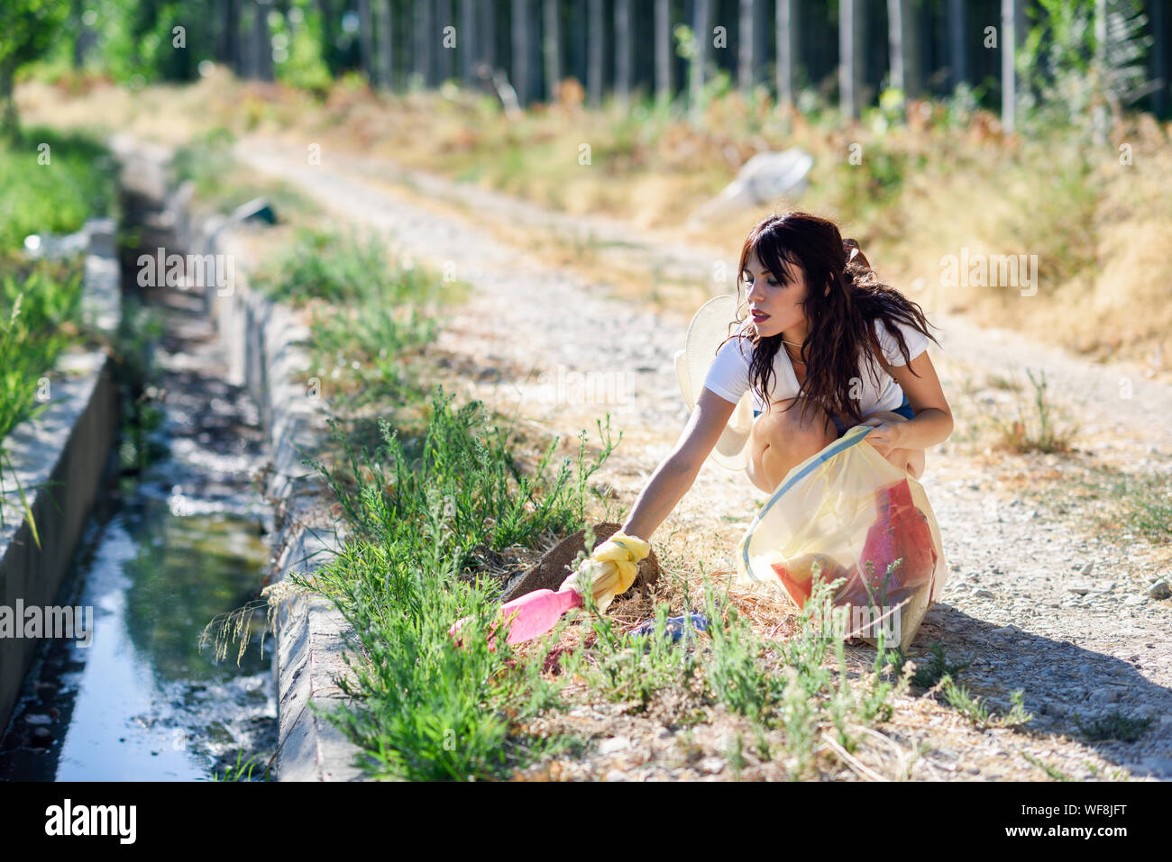 Woman hand collecting garbage of the grass in the countryside Stock ...