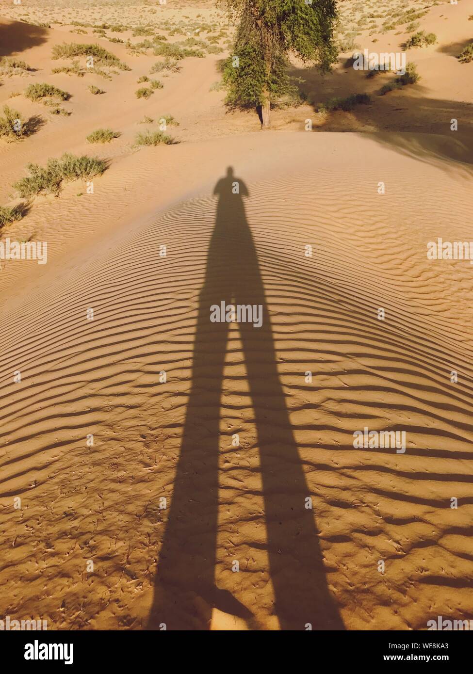 Shadow Of Man On Sand At Desert Stock Photo - Alamy