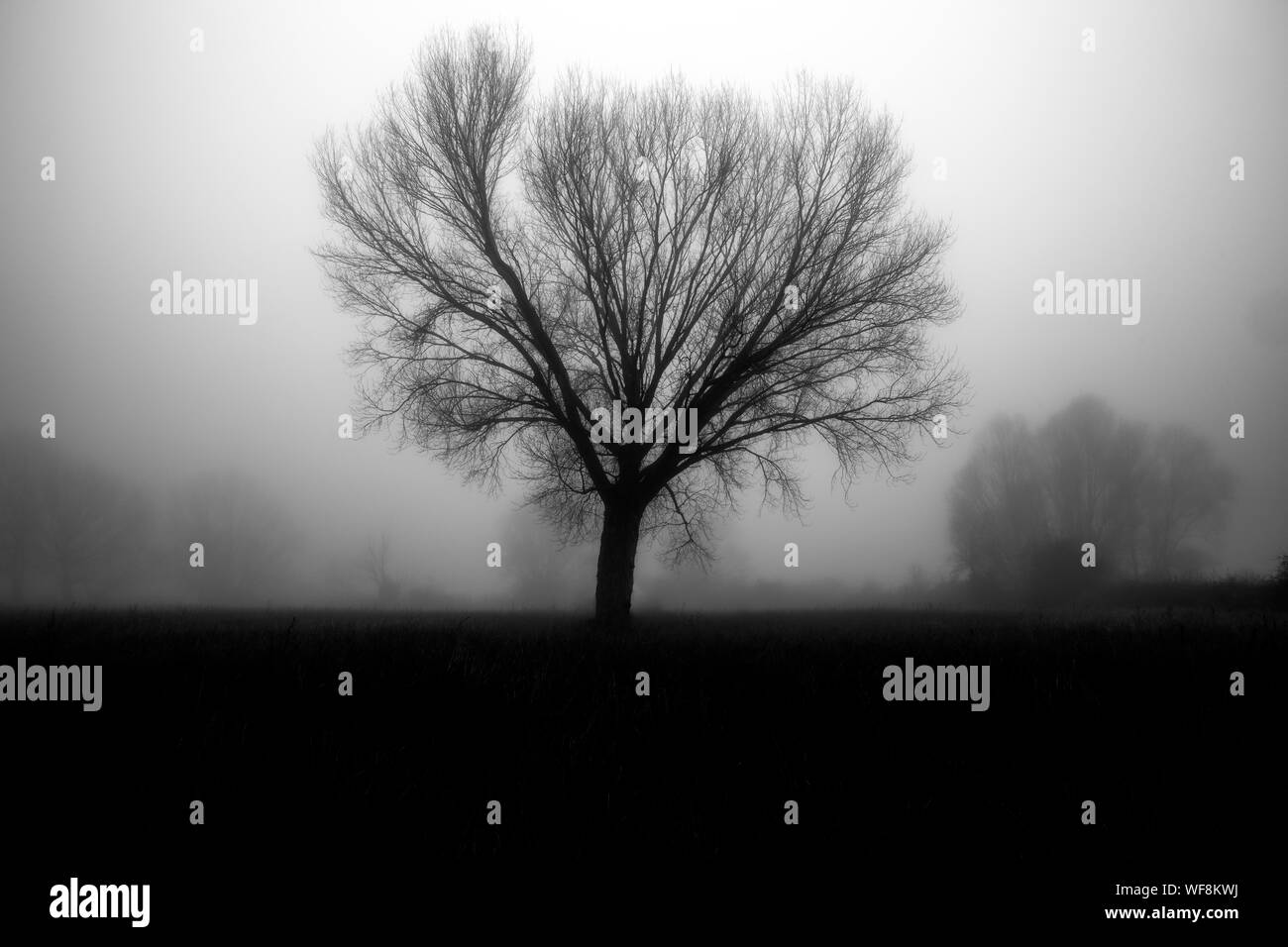 Make more beautiful Black and White Stock Photos & Images - Alamy
