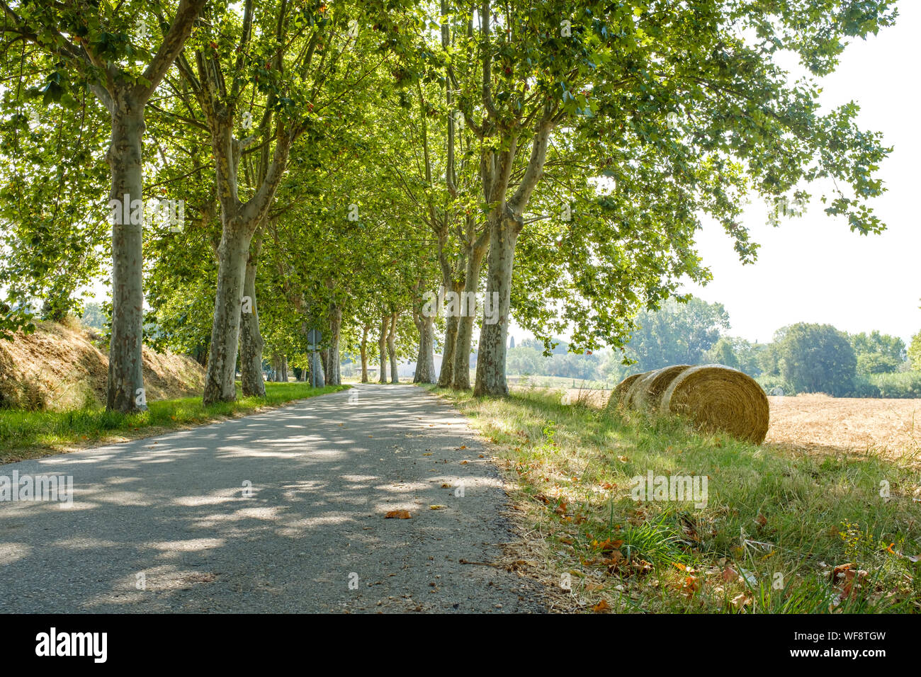 Rural path perspective hi-res stock photography and images - Alamy