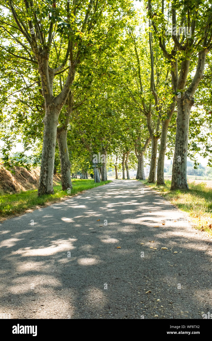 Rural walk hi-res stock photography and images - Alamy