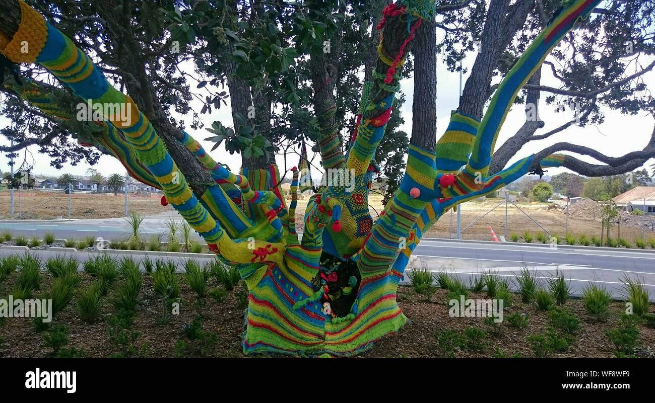 Wool tree hi-res stock photography and images - Alamy