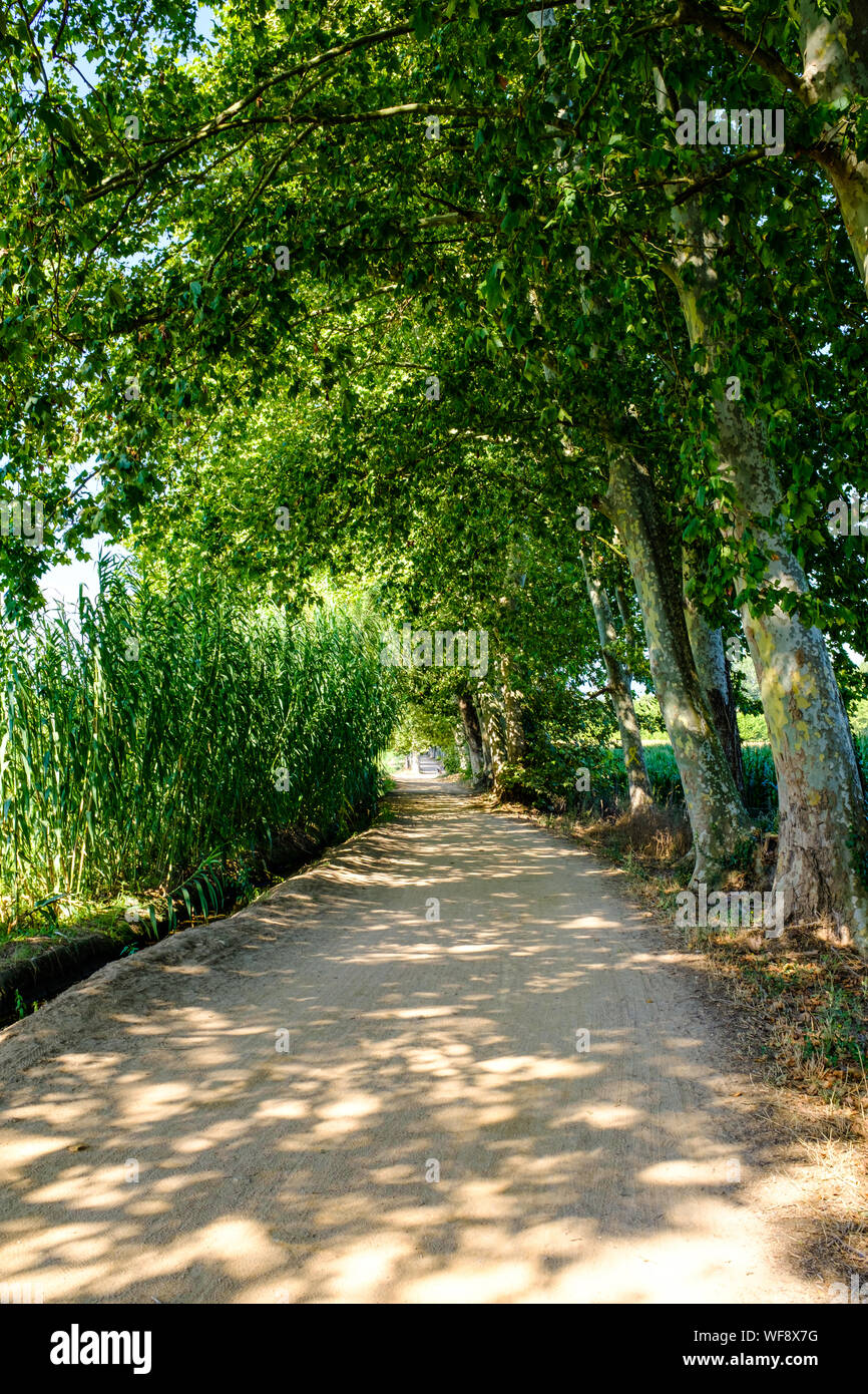 Rural walk hi-res stock photography and images - Alamy