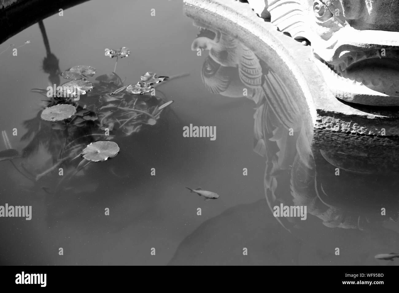 Reflection statue pond hi-res stock photography and images - Alamy