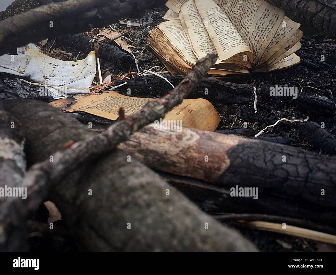 Ground books hi-res stock photography and images - Alamy