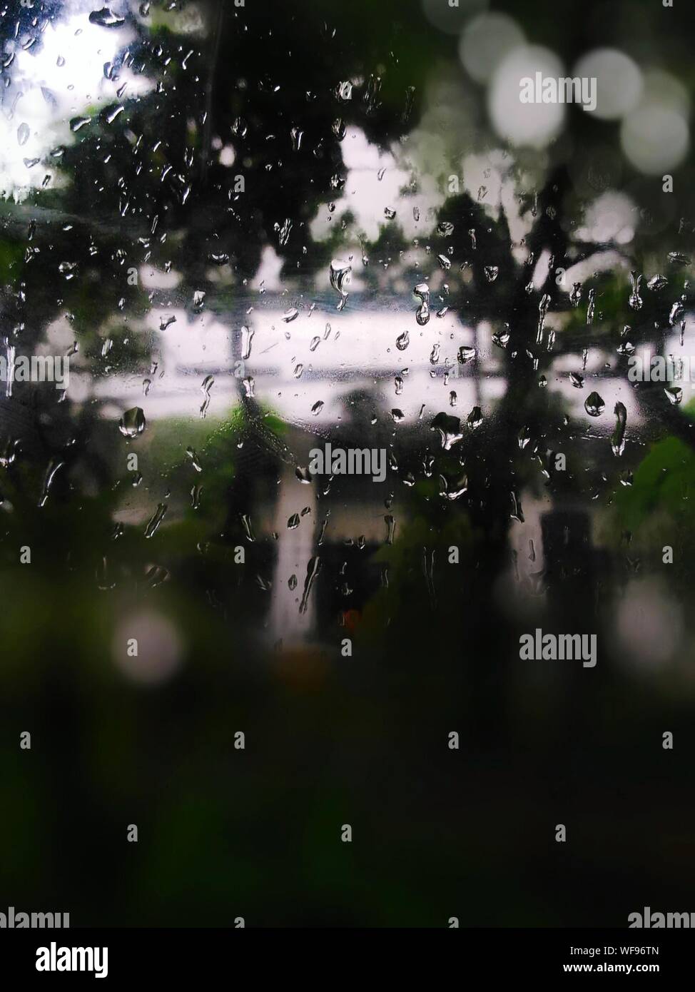 Surface rainwater hi-res stock photography and images - Alamy