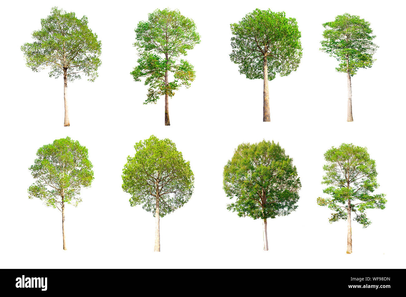 Cut outs people Cut Out Stock Images & Pictures - Alamy