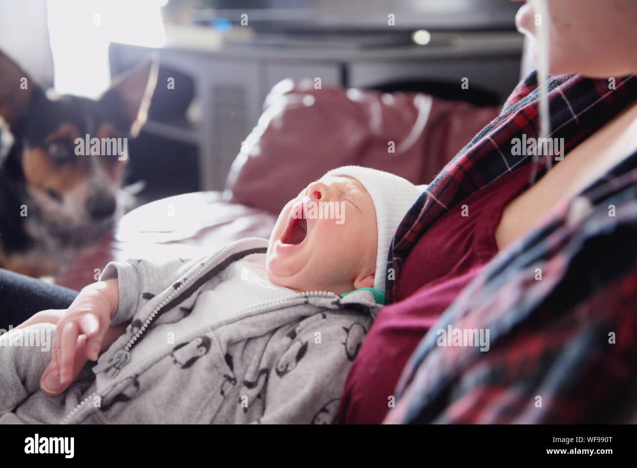 Adult human yawning hi-res stock photography and images - Alamy