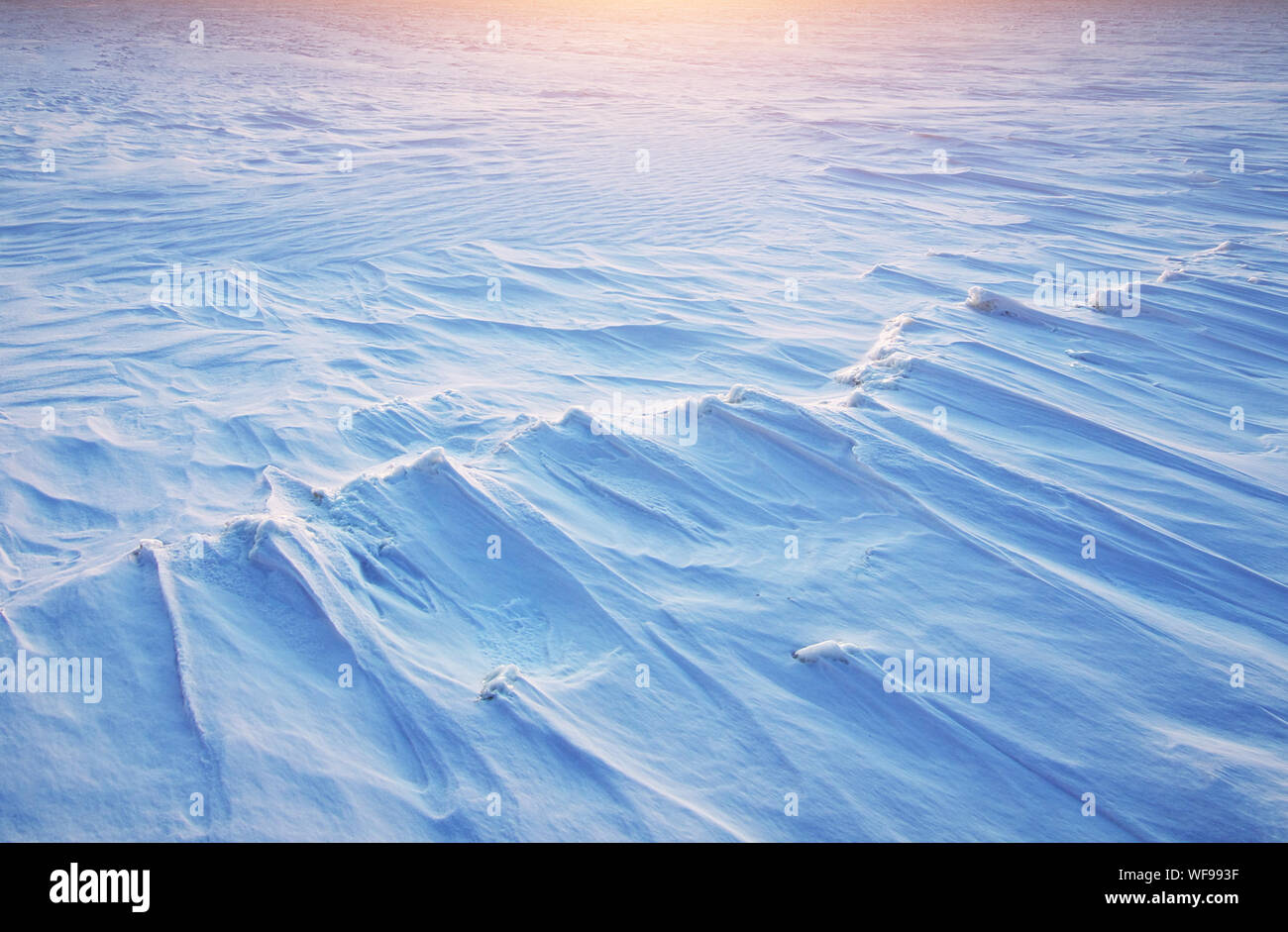 Winter landscape texture. Composition of nature Stock Photo - Alamy