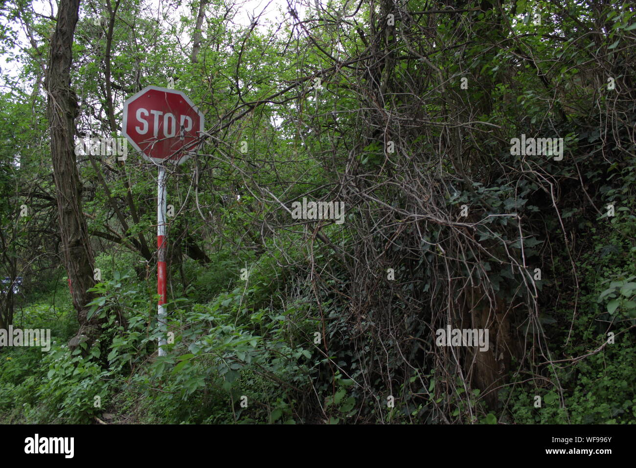Overgrown sign hi-res stock photography and images - Alamy