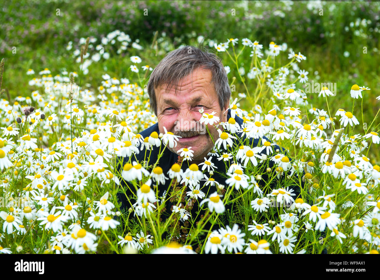 Mustache of flowers hi-res stock photography and images - Alamy