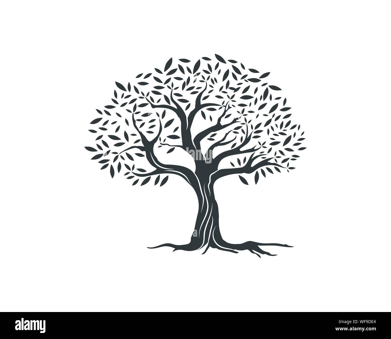 Olive tree vector illustration design template Stock Vector Image & Art ...