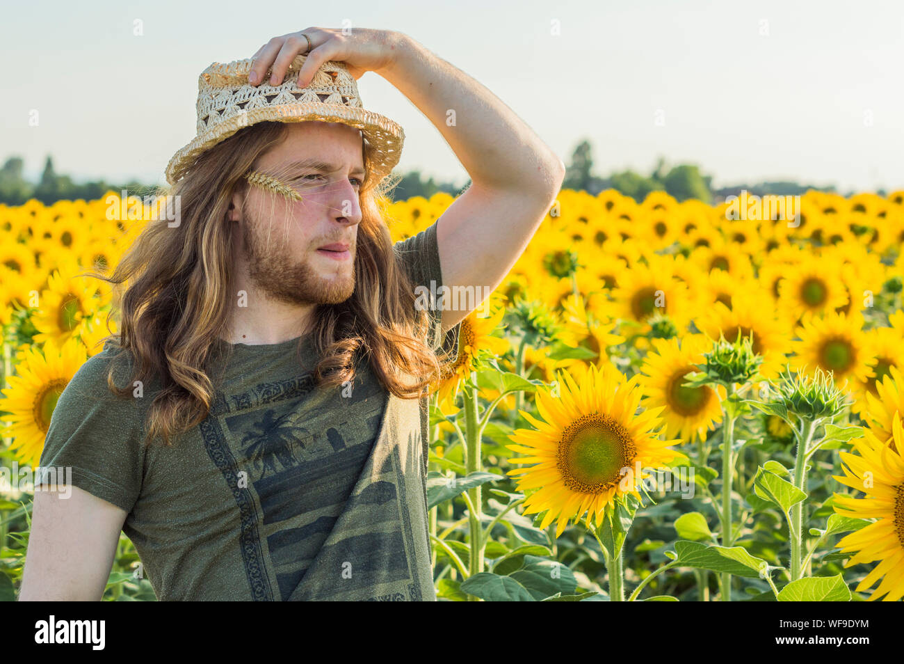 Man sunflower hi-res stock photography and images - Alamy