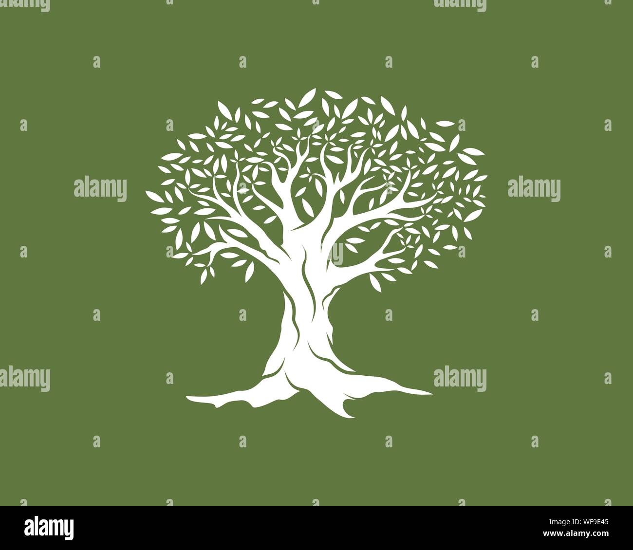 Olive tree vector illustration design template Stock Vector Image & Art ...