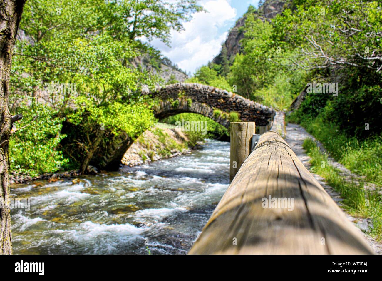 Tree arch over river hi-res stock photography and images - Alamy