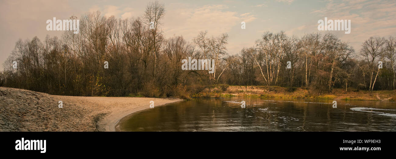 Sandy Shore River and Deciduous Forest on Cloudy Weather. Panoramic ...