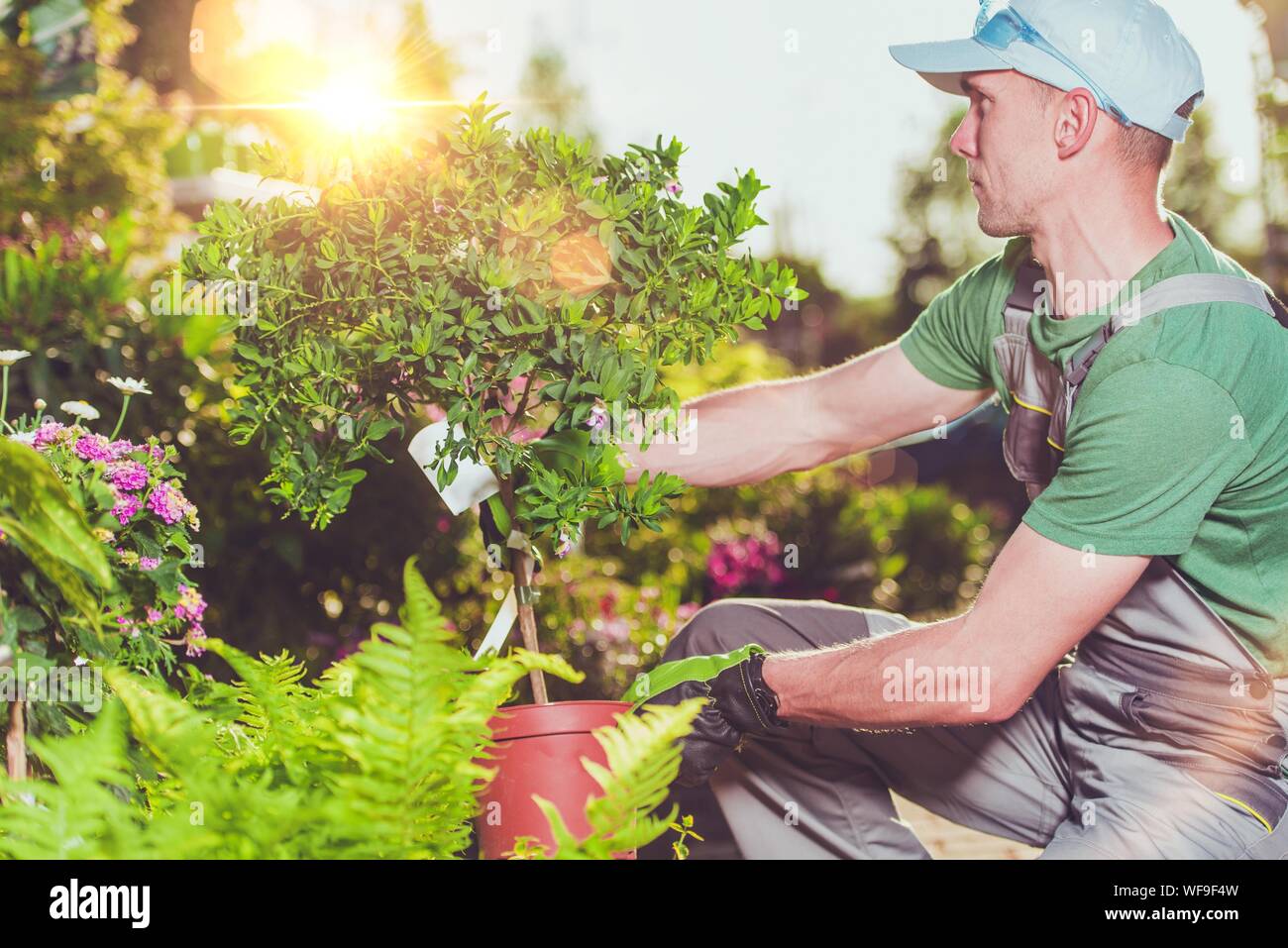 Tree planting garden hi-res stock photography and images - Alamy