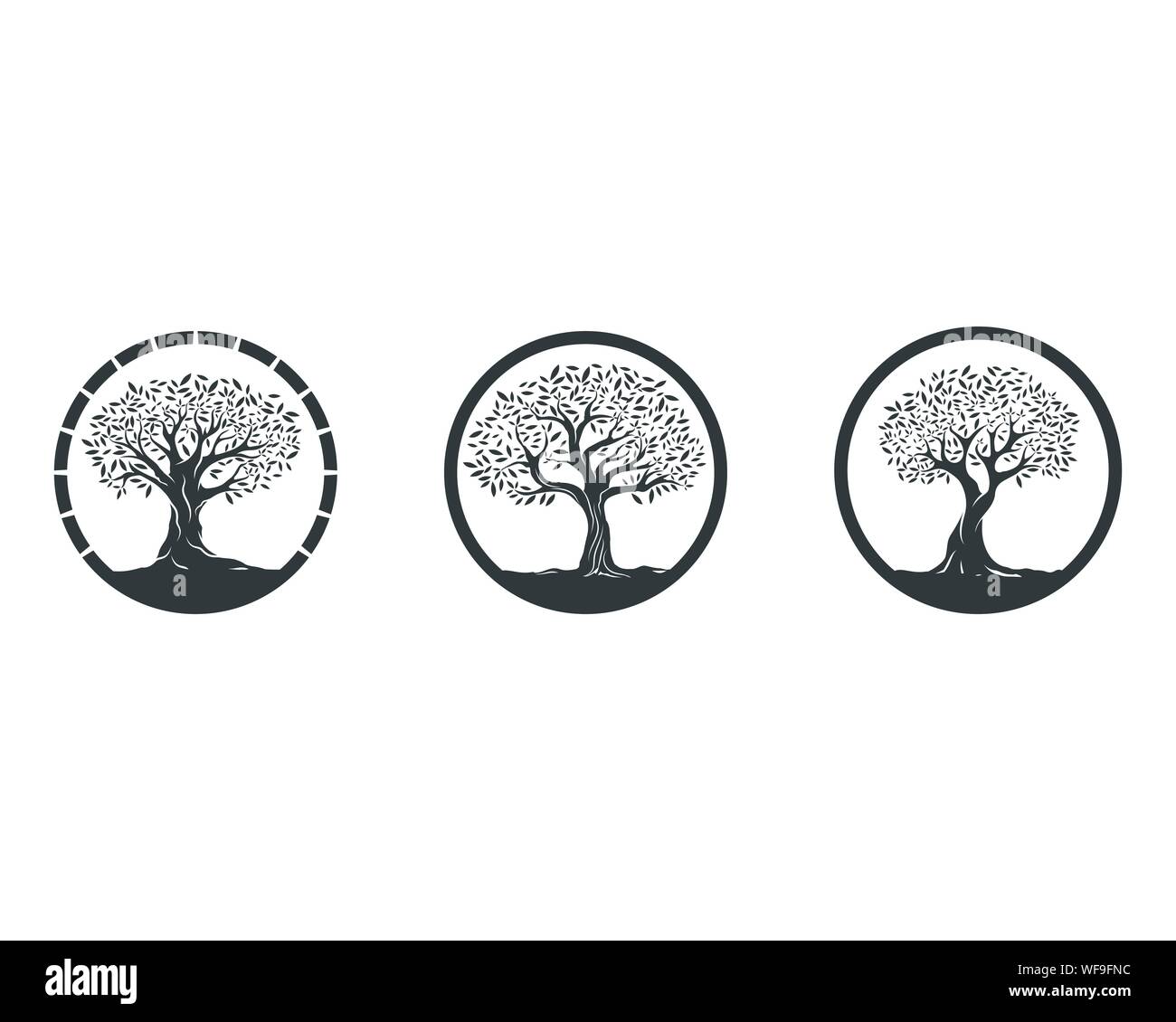 Olive tree vector illustration design template Stock Vector Image & Art ...