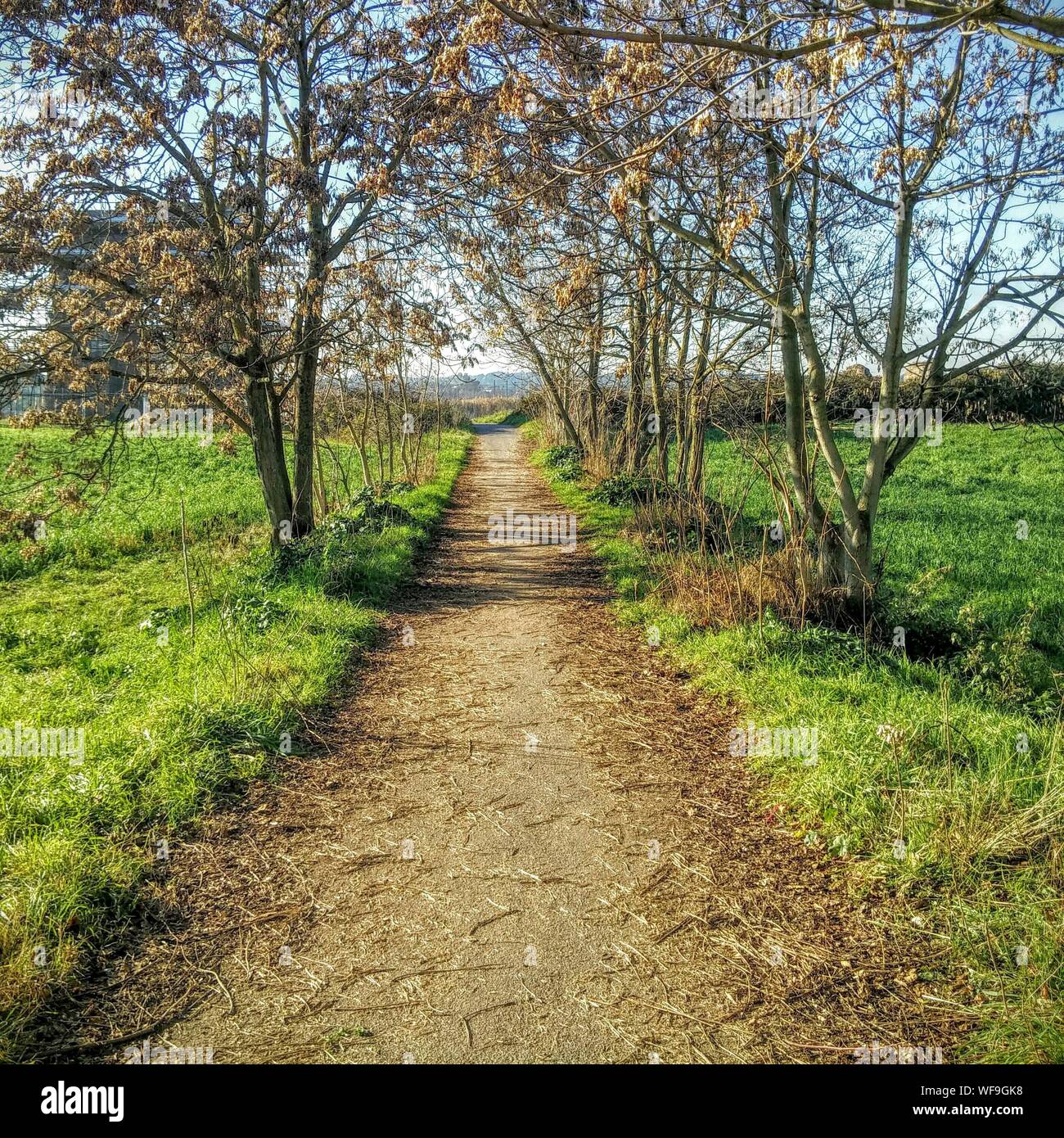 Footpath Amidst Grassy Field Stock Photo - Alamy