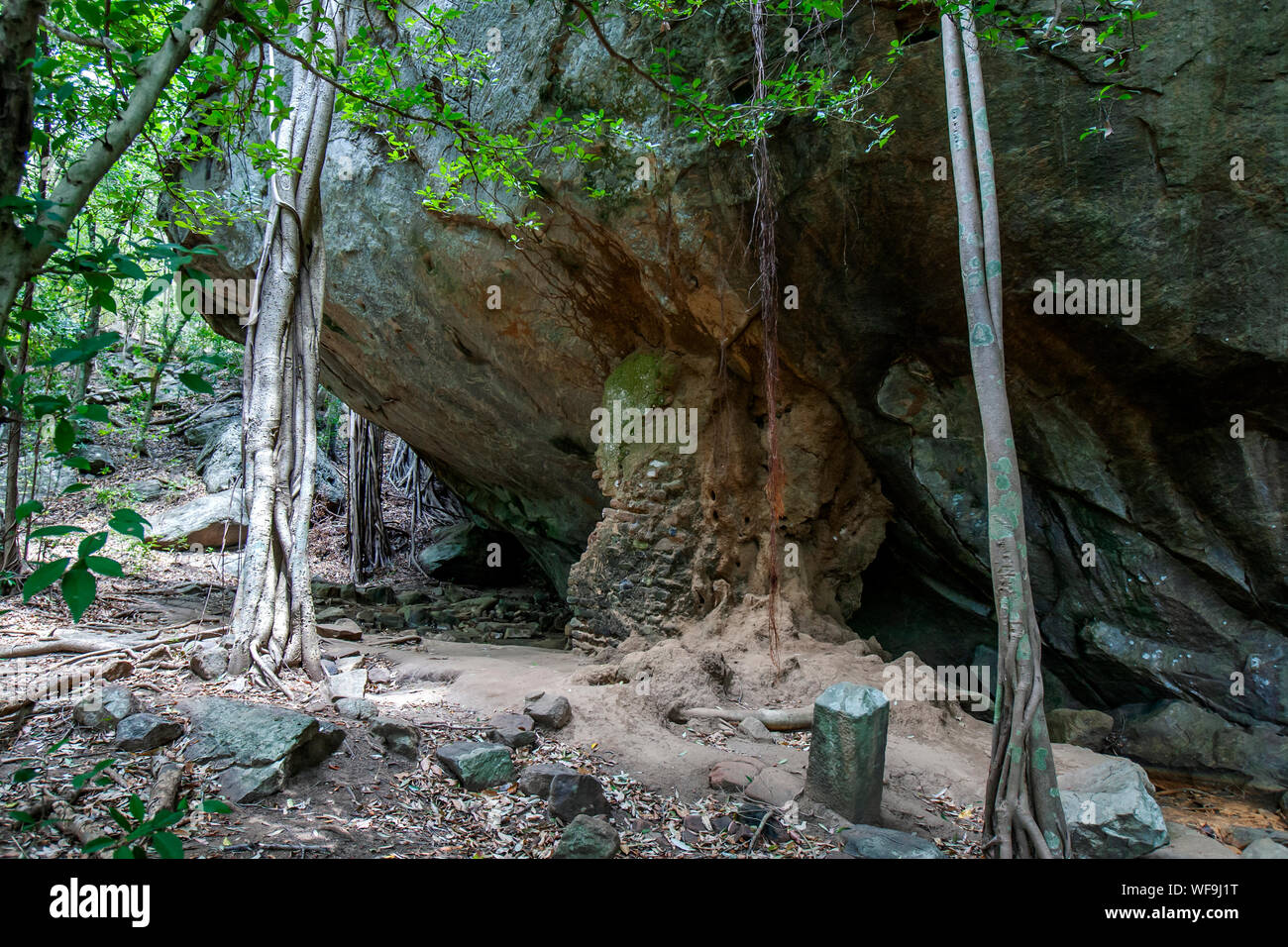 The ruins of an ancient Buddhist cave dwelling at Kaludiya Pokuna ...