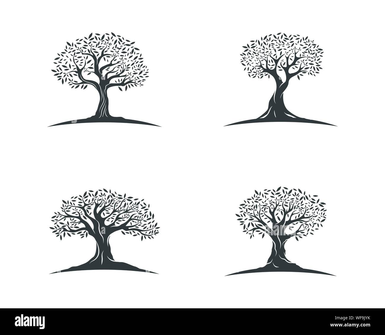 Olive tree vector illustration design template Stock Vector Image & Art ...