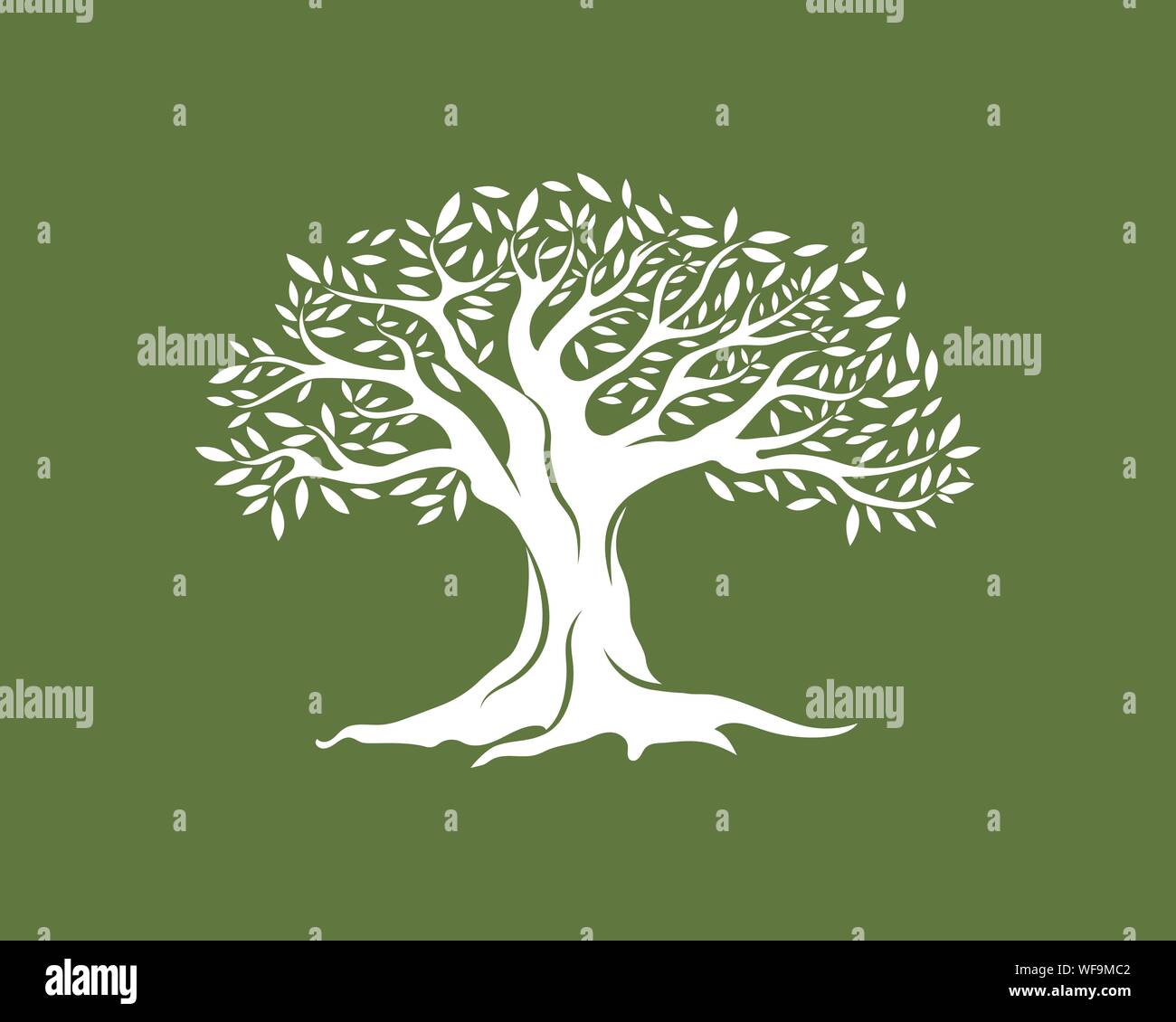 Olive tree vector illustration design template Stock Vector Image & Art ...