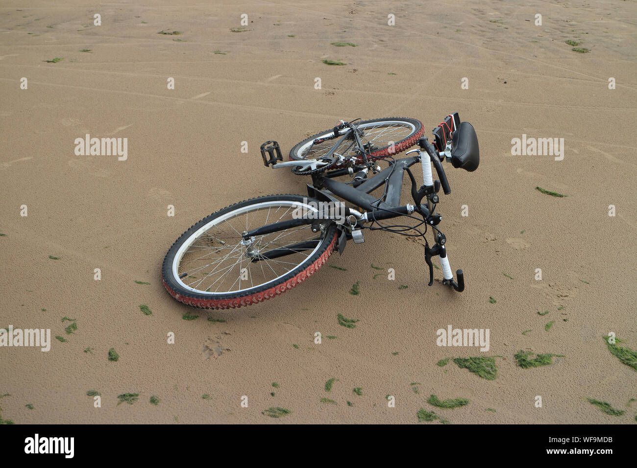 bike on the beach, concept travel, active lifestyle Stock Photo - Alamy