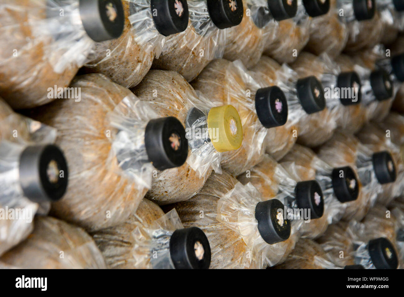 Food in a stack hi-res stock photography and images - Alamy