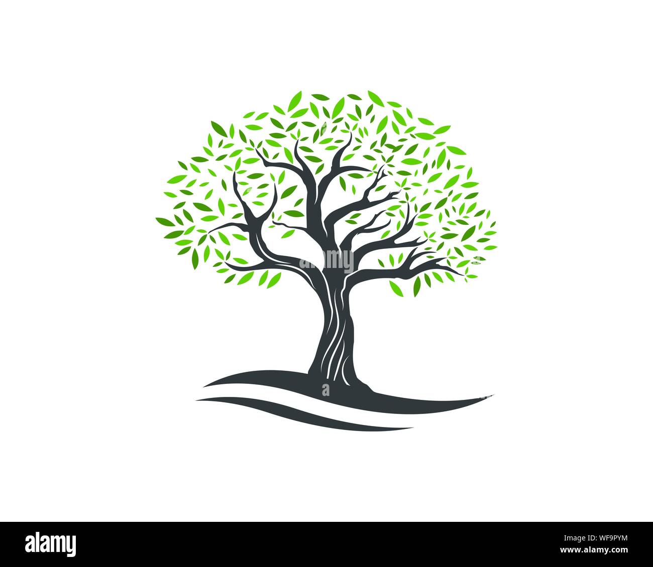 Olive tree vector illustration design template Stock Vector Image & Art ...