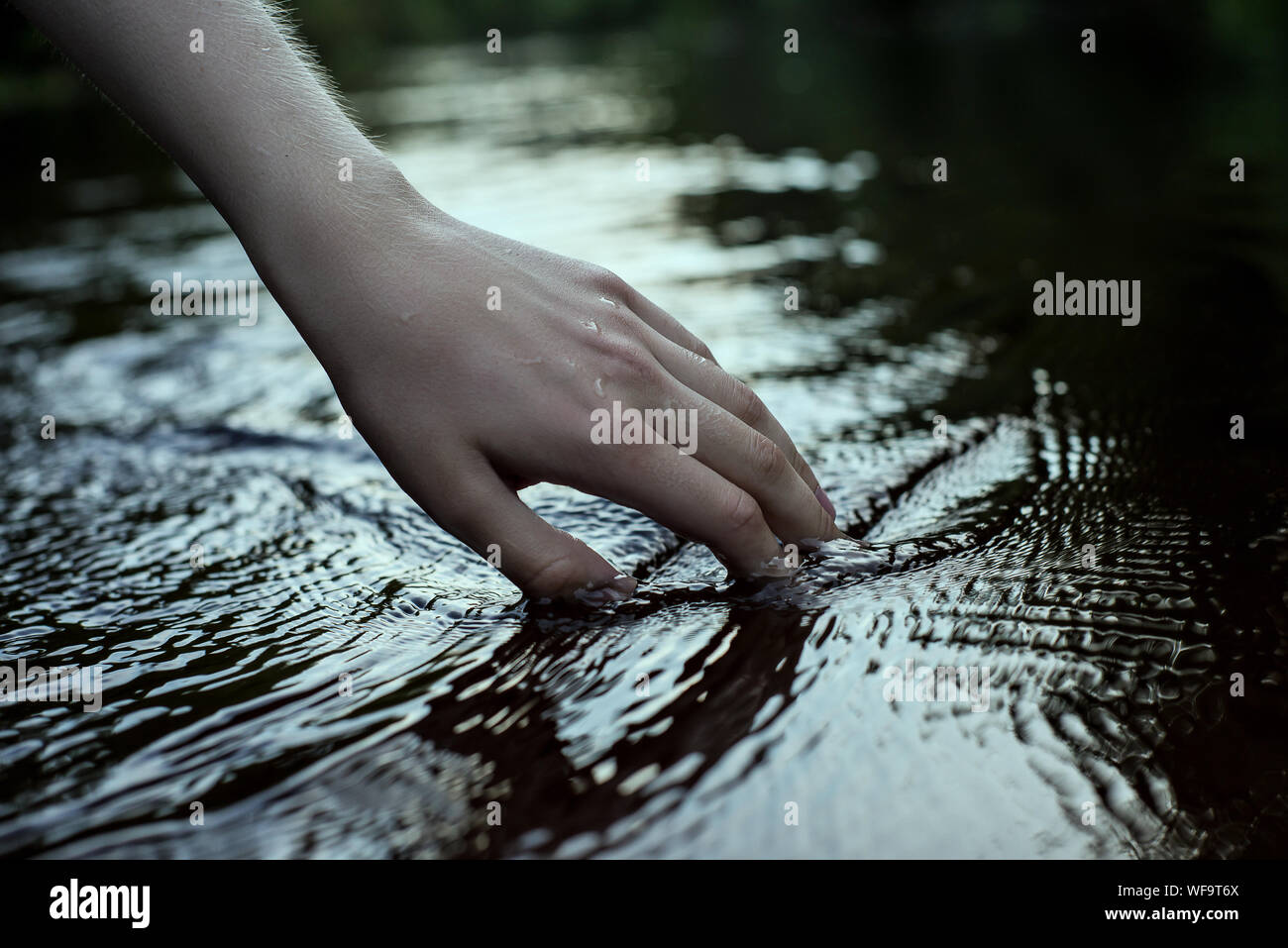 Nature in human hand hi-res stock photography and images - Alamy