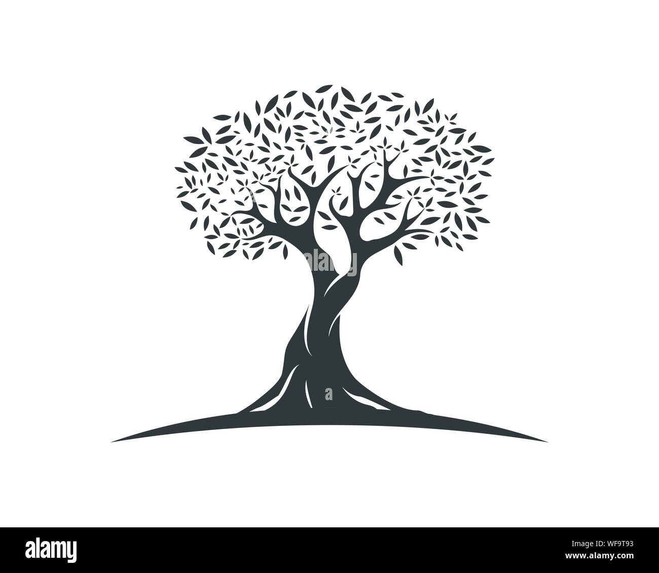 Olive tree vector hi-res stock photography and images - Alamy