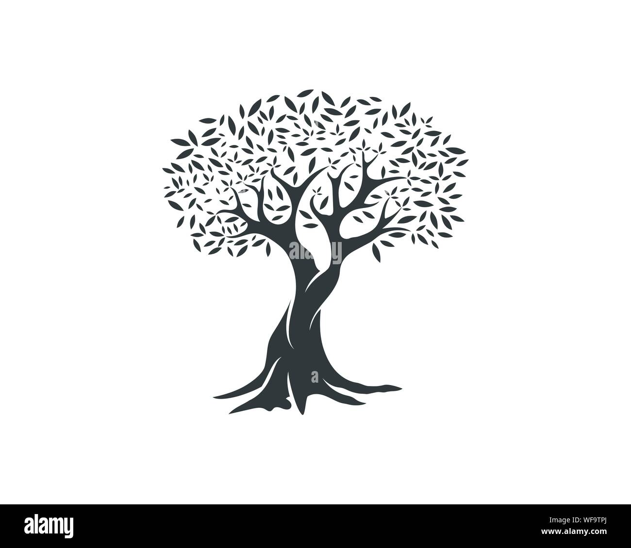 Olive tree vector illustration design template Stock Vector Image & Art ...