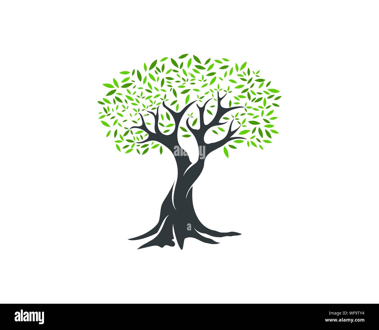 Olive tree vector illustration design template Stock Vector Image & Art ...