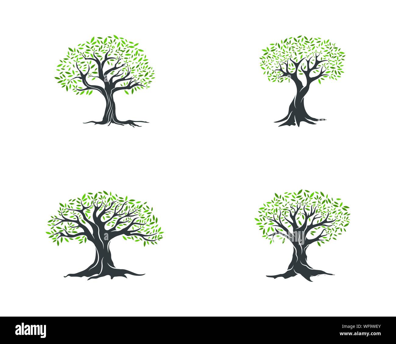 Olive tree vector illustration design template Stock Vector Image & Art ...
