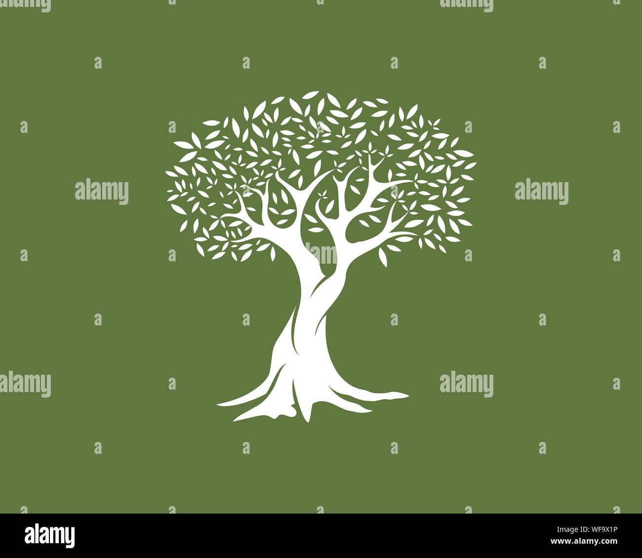Olive tree Stock Vector Images - Alamy