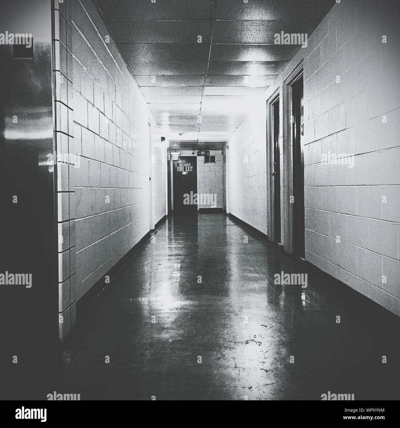 Empty cellar hi-res stock photography and images - Alamy